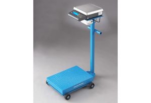 Weigh-Tronix Portable Floor Scale - IndyScale Industrial Scale Experts