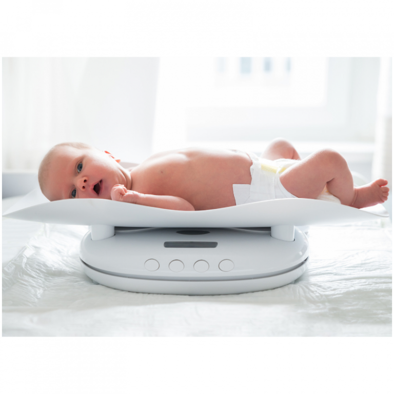 Scale Solutions & Services For All Industries - Indianapolis Scale Company